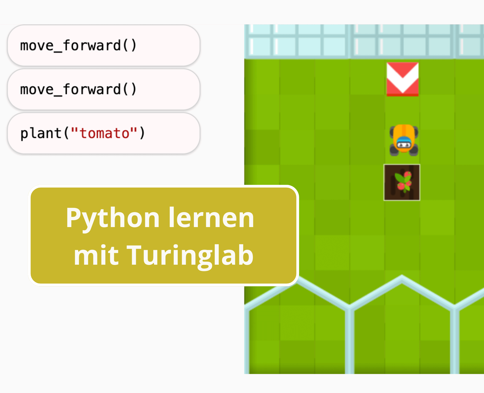 Python lernen mit Turinglab - appcamps.de